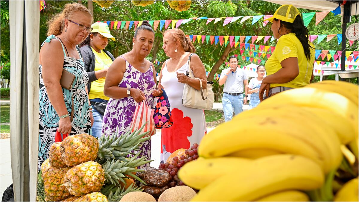 El Mercado Vuelve A Los Parques De La Ciudad Con Estrategia ‘a Tu
